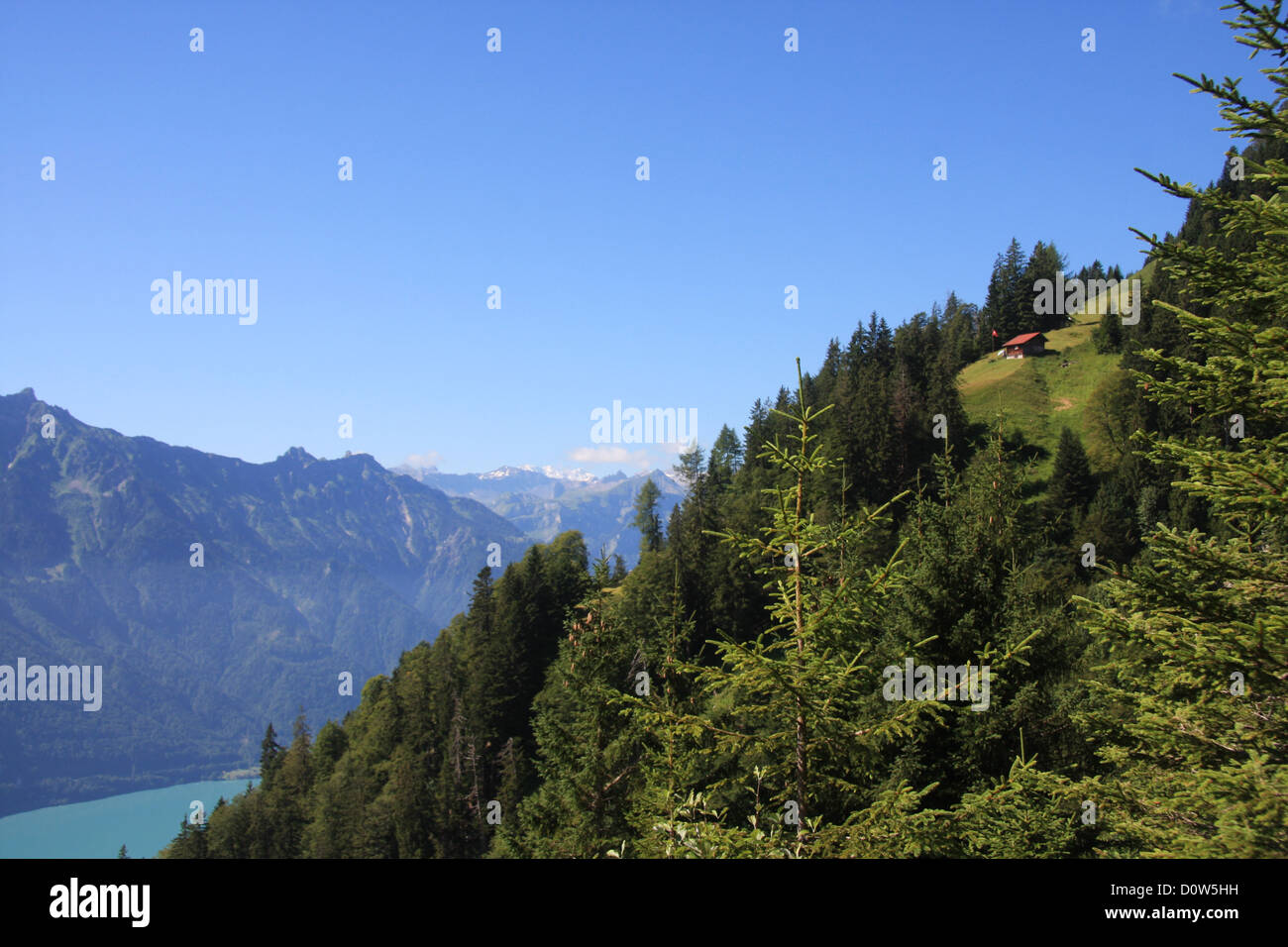 Switzerland, Europe, canton, Bern, Bernese Oberland, Brienzersee, lake ...
