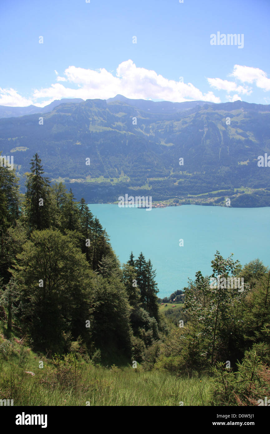 Switzerland, Europe, canton, Bern, Bernese Oberland, Brienzersee, lake ...