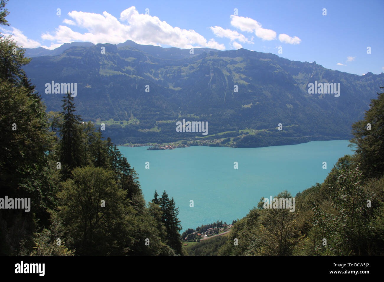 Switzerland, Europe, canton, Bern, Bernese Oberland, Brienzersee, lake ...