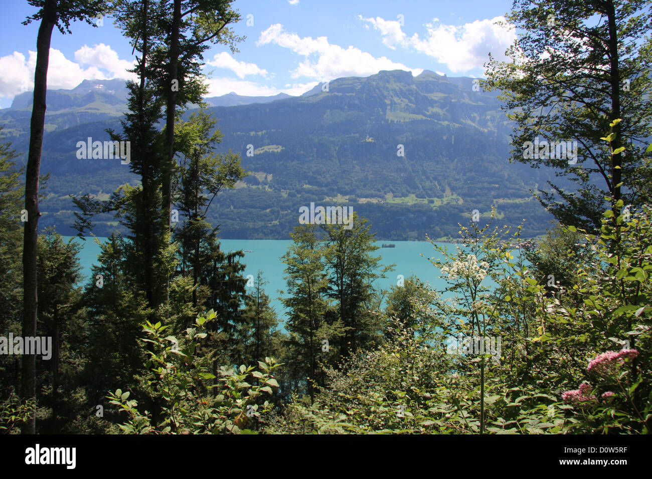Switzerland, Europe, canton, Bern, Bernese Oberland, Brienzersee, ship ...