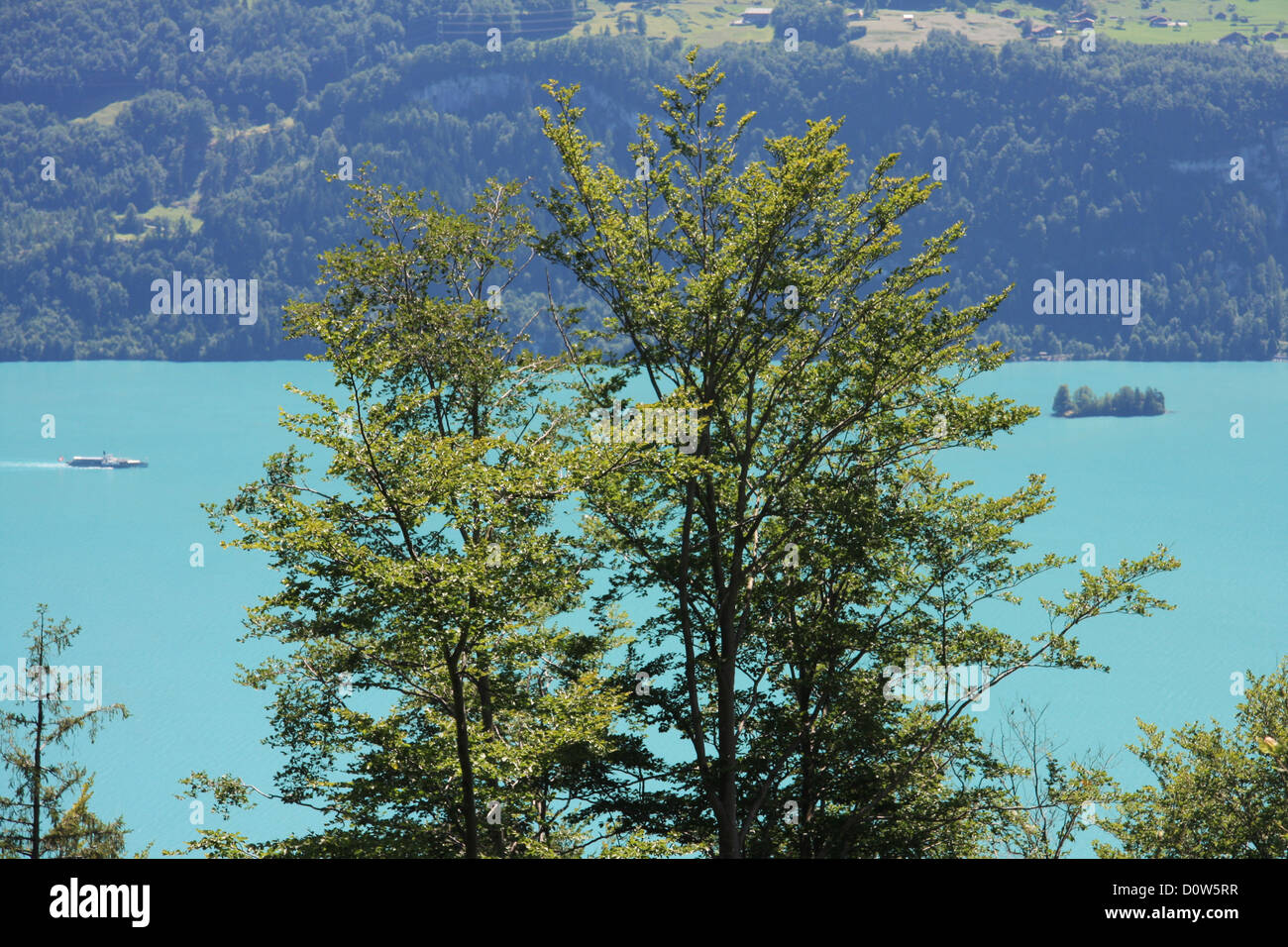 Switzerland Europe canton Bern Bernese Oberland Brienzersee ship boat ...
