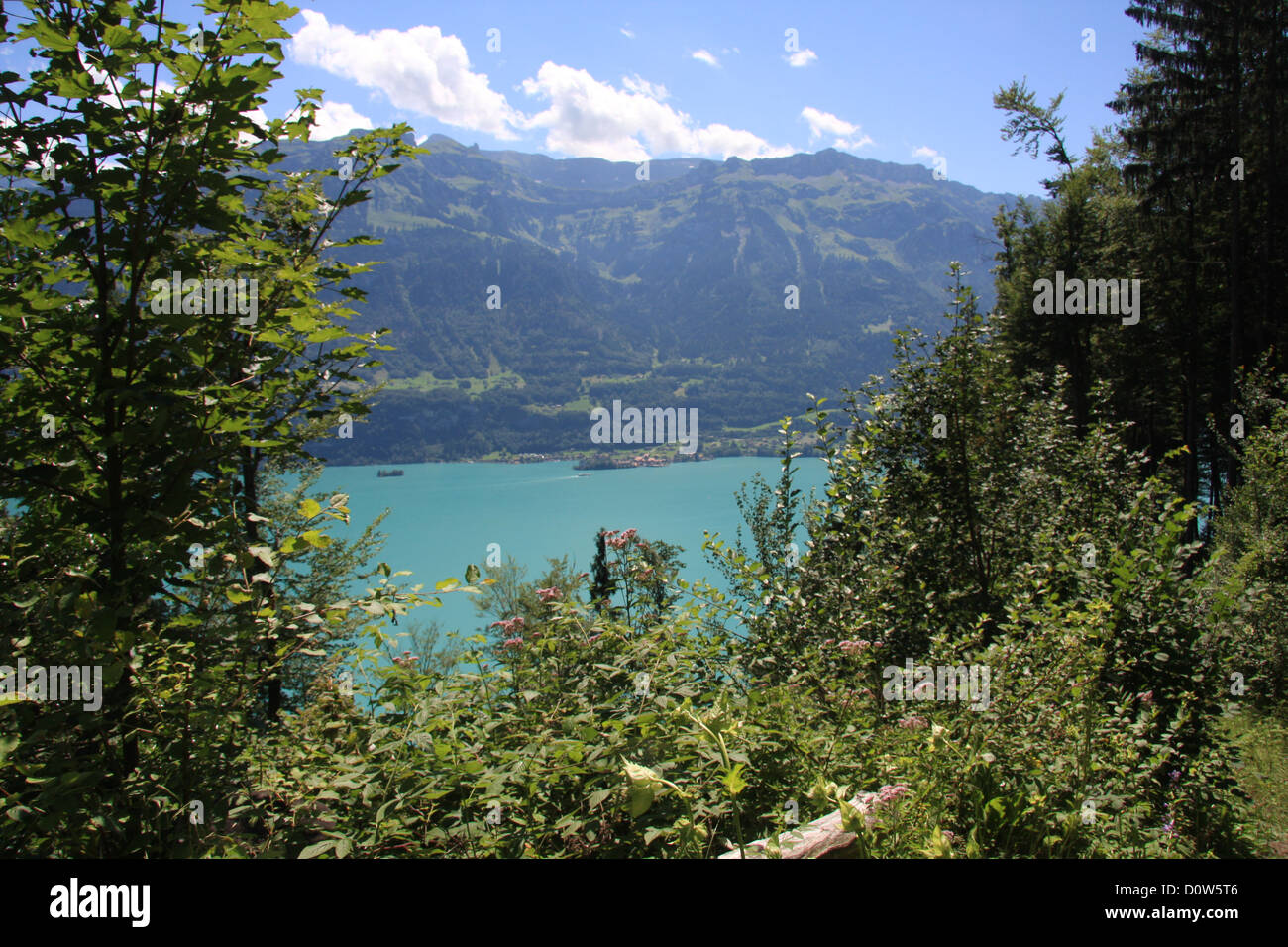 Switzerland, Europe, canton, Bern, Bernese Oberland, Brienzersee ...