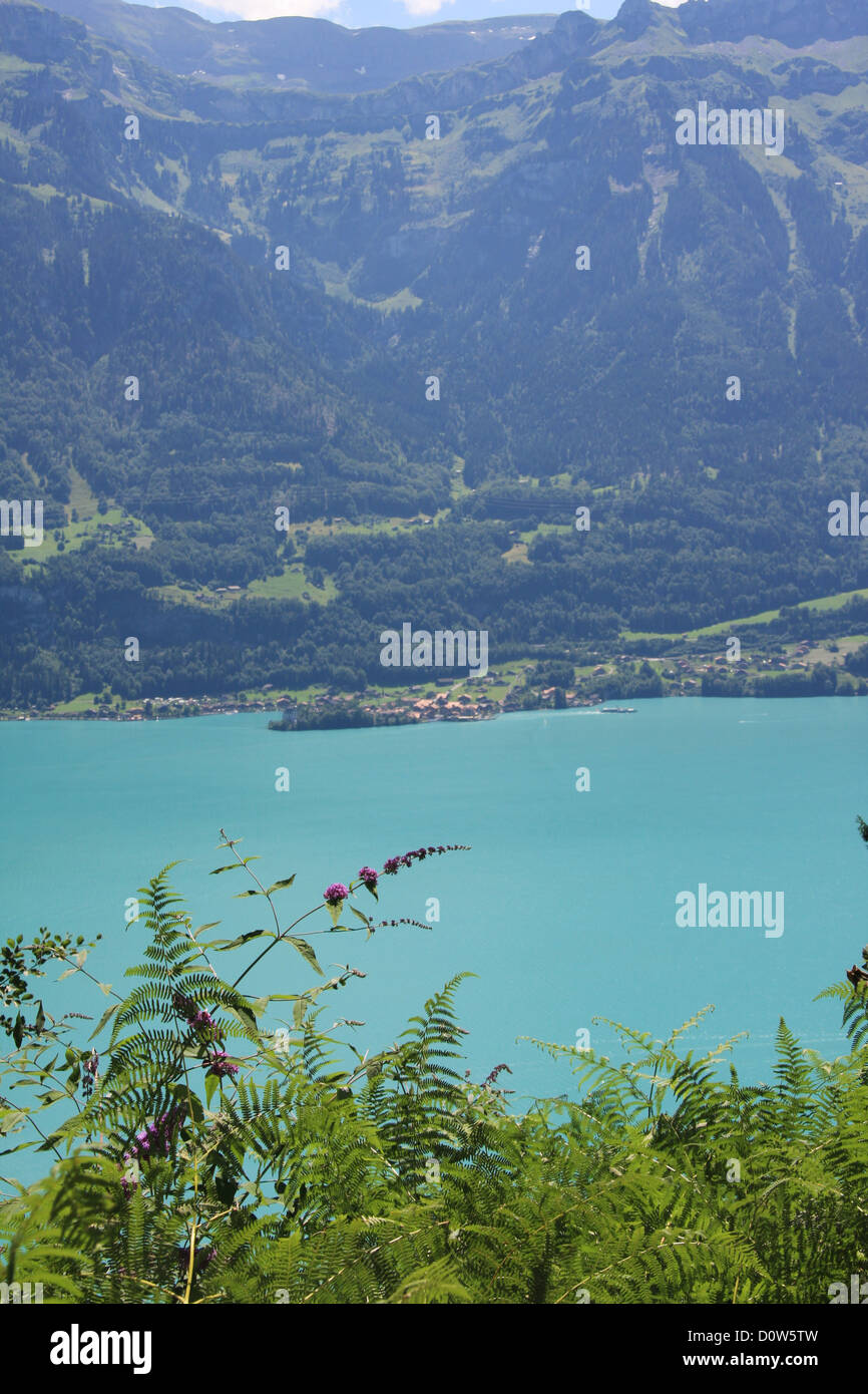 Switzerland, Europe, canton, Bern, Bernese Oberland, Brienzersee ...