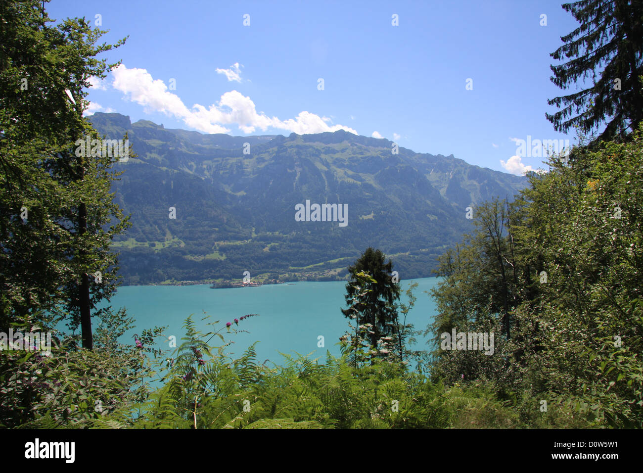 Switzerland, Europe, canton, Bern, Bernese Oberland, Brienzersee ...