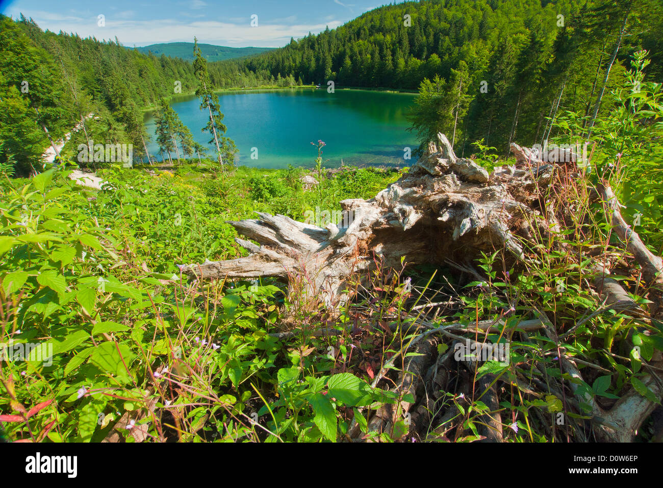 Inzell bavaria hi-res stock photography and images - Alamy