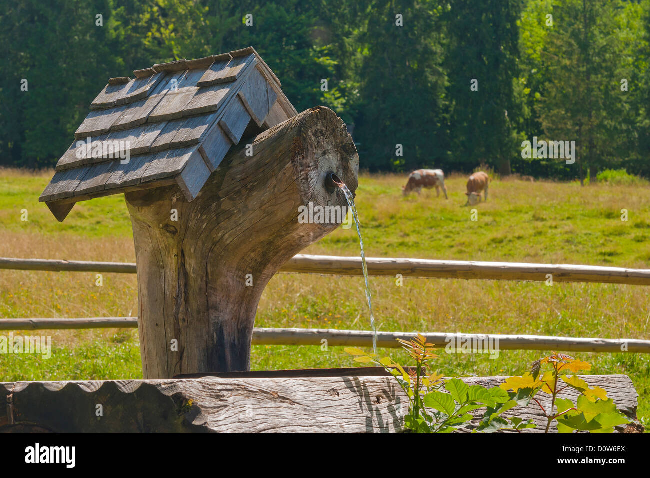 Bavaria Europe Germany Upper Bavaria Chiemgau Inzell Adlgass rural ...