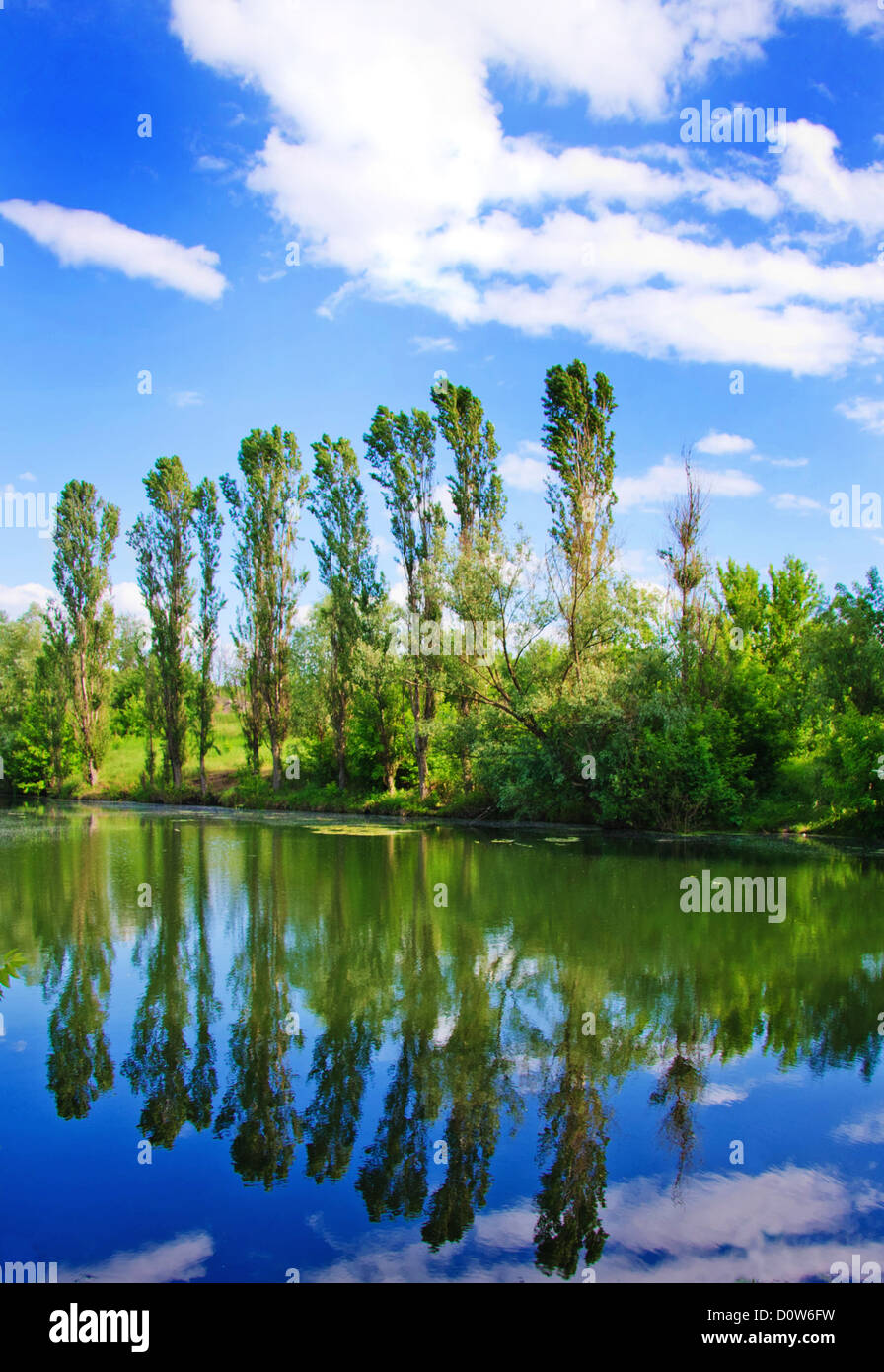Landscape with a lake and trees Stock Photo - Alamy