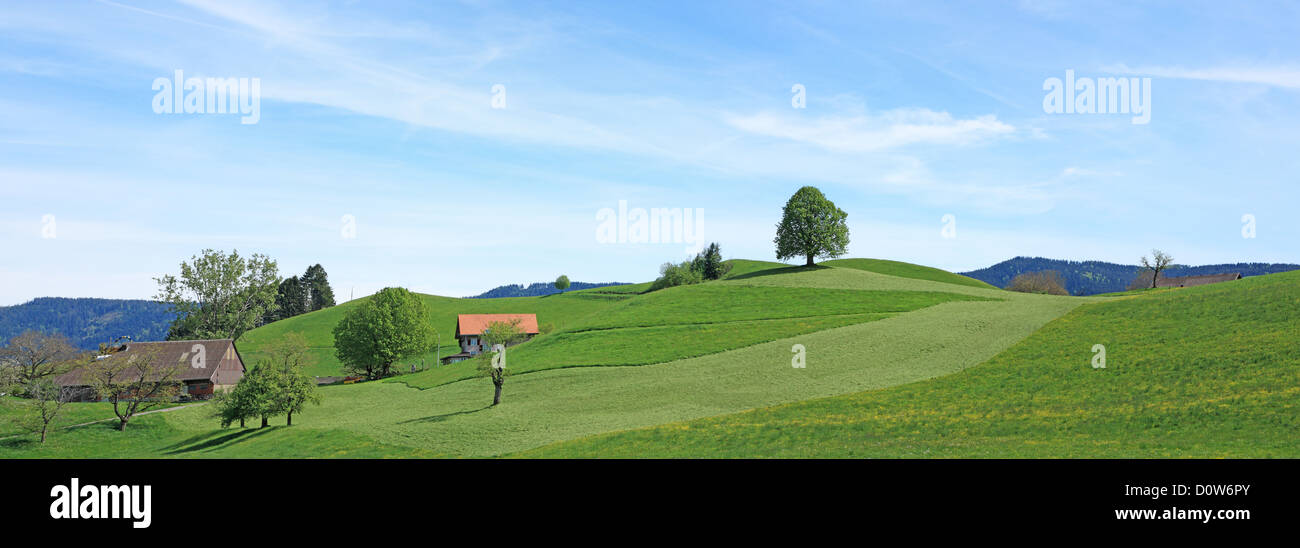 Switzerland, Canton Zug, Menzingen Stock Photo - Alamy