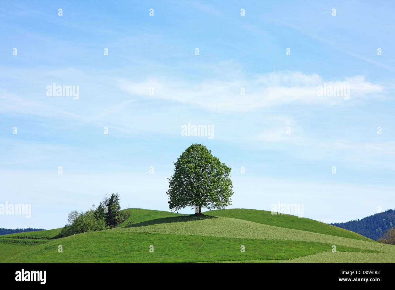 Switzerland, Canton Zug, Menzingen Stock Photo - Alamy