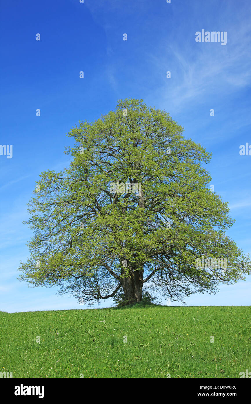 Menzingen switzerland hi-res stock photography and images - Alamy