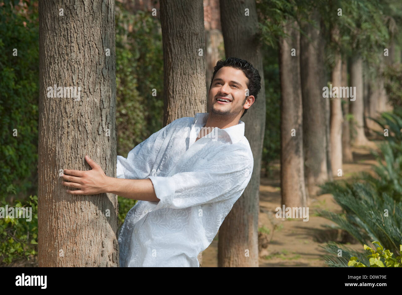 Man hugging a tree and smiling Stock Photo - Alamy