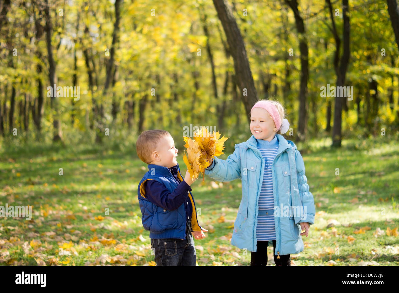 Two young kids collecting autumn leaves in woodland standing comparing ...