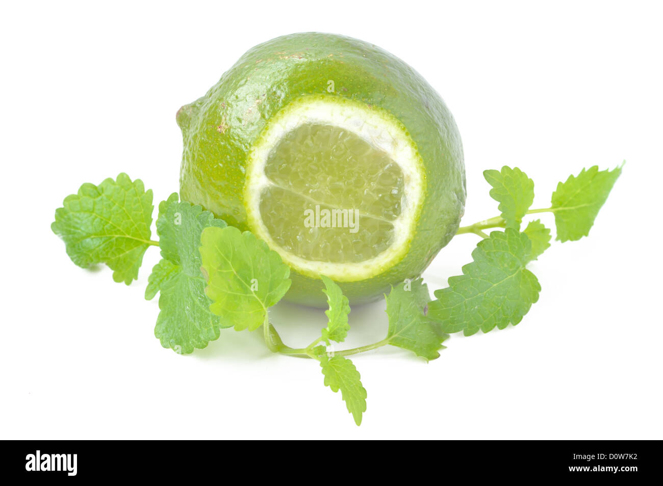 Lime lemon mint leaves Cut Out Stock Images & Pictures - Alamy