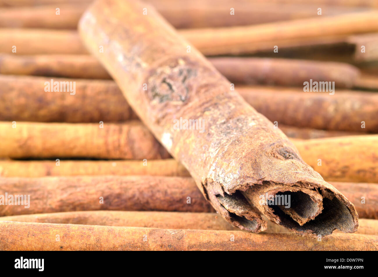 Cinnamon bark (cinnamon), close-up Stock Photo - Alamy