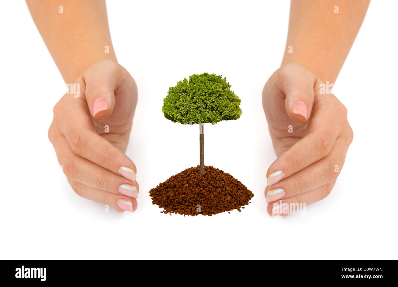Hands and tree Stock Photo - Alamy