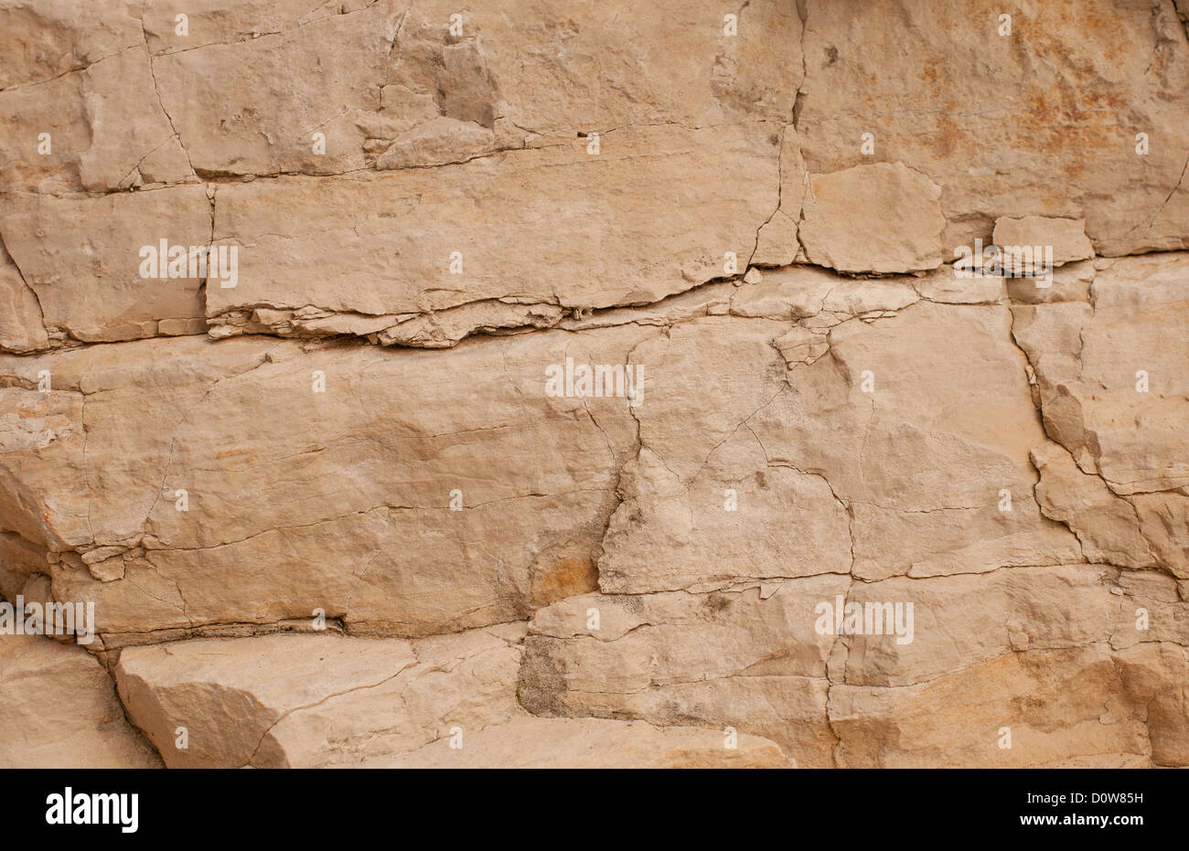 Decorative floor texture Stock Photo - Alamy