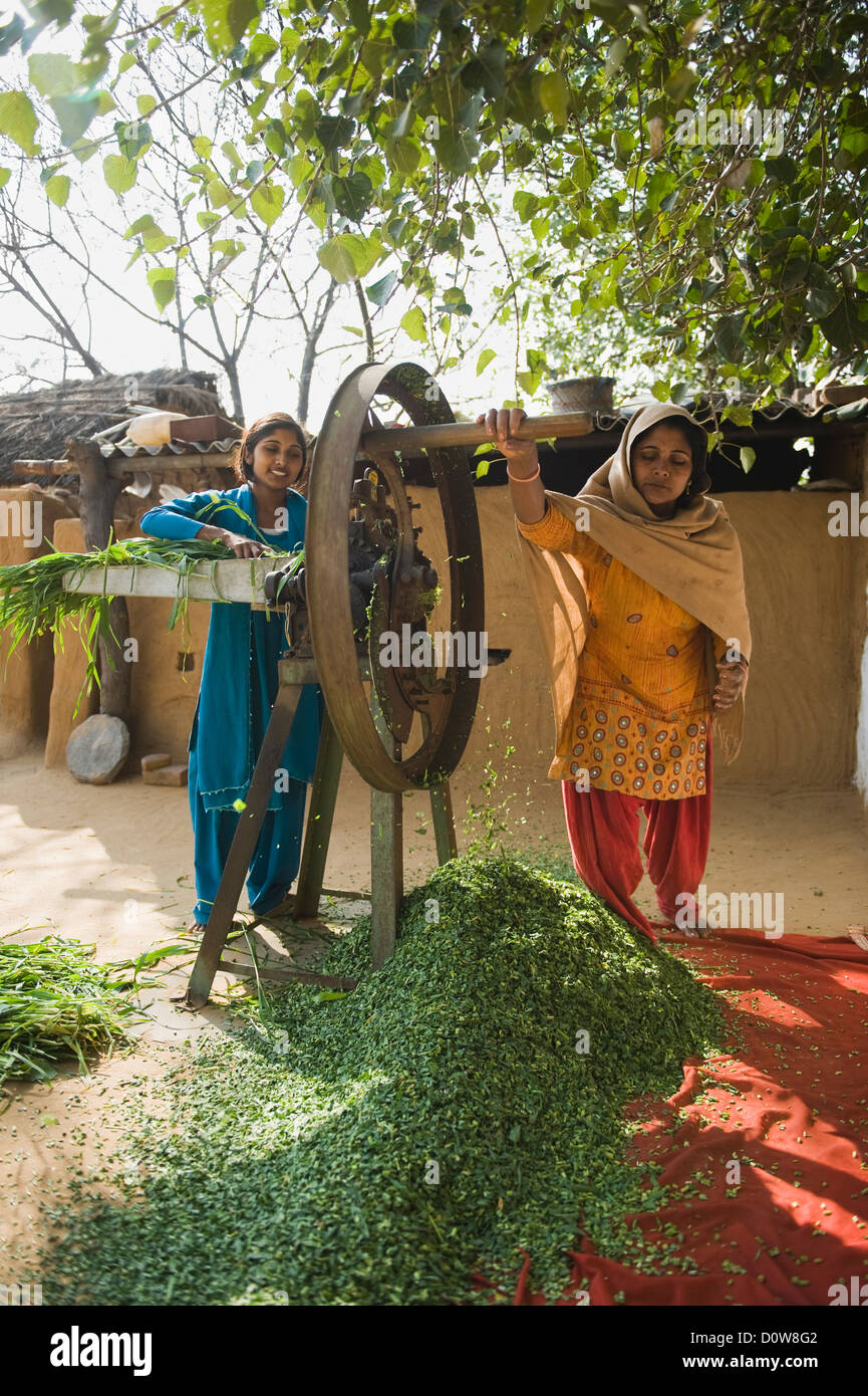 Fodder cutting machine hi-res stock photography and images - Alamy