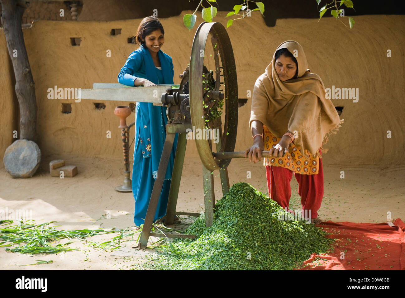 Fodder cutting machine hi-res stock photography and images - Alamy
