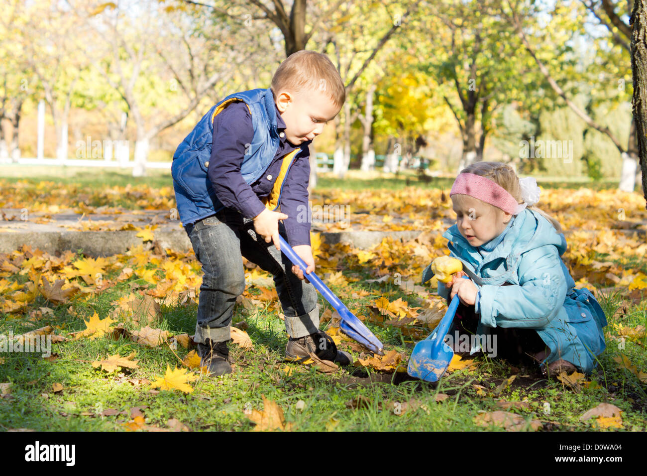 Children digging outdoors with spades in an autumn woodland park with ...