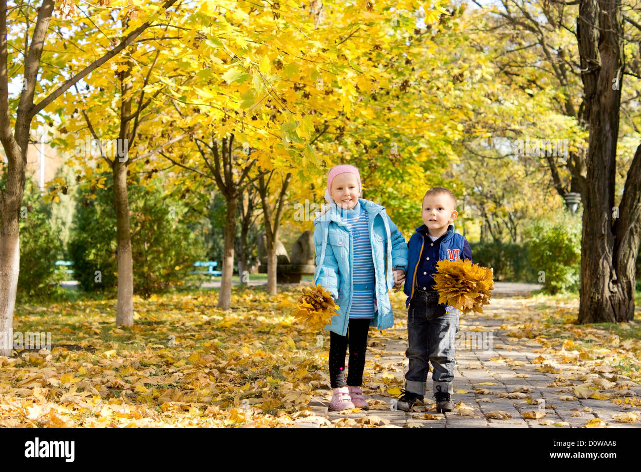 Collecting leaves children in park hi-res stock photography and images ...