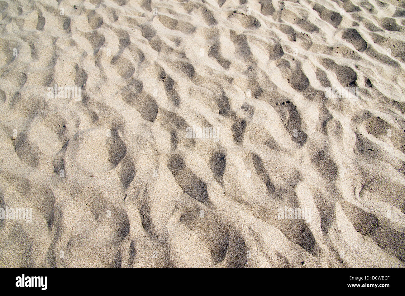Close up shot of coral sand Stock Photo - Alamy