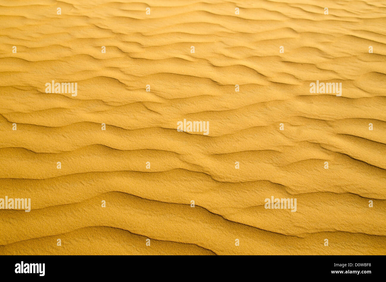 Sand texture in Gold desert Stock Photo - Alamy