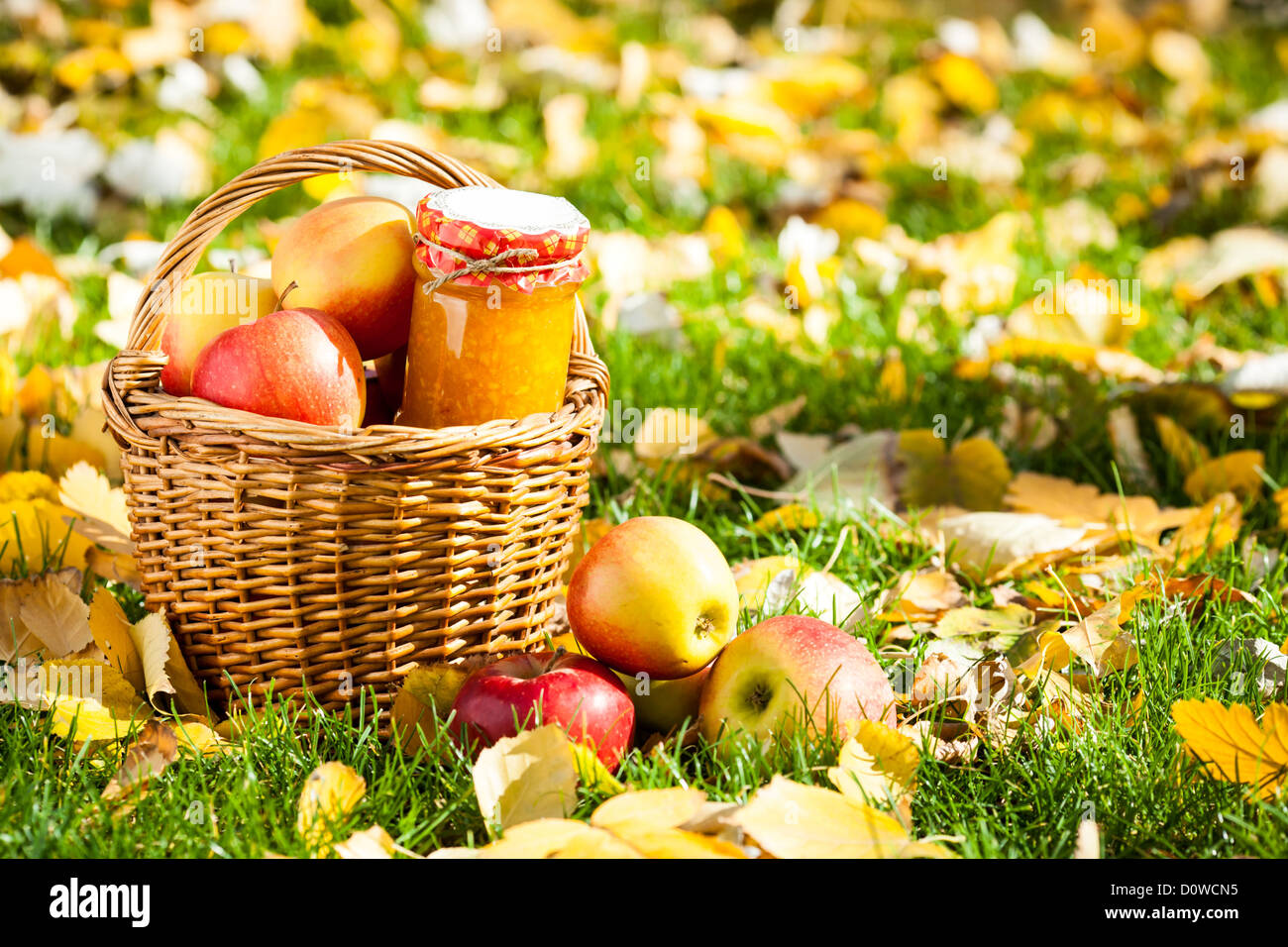 Apple tree in pot hi-res stock photography and images - Alamy