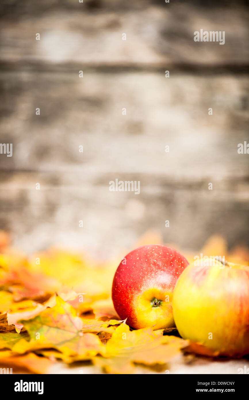Autumn border from apples and leaves Stock Photo - Alamy
