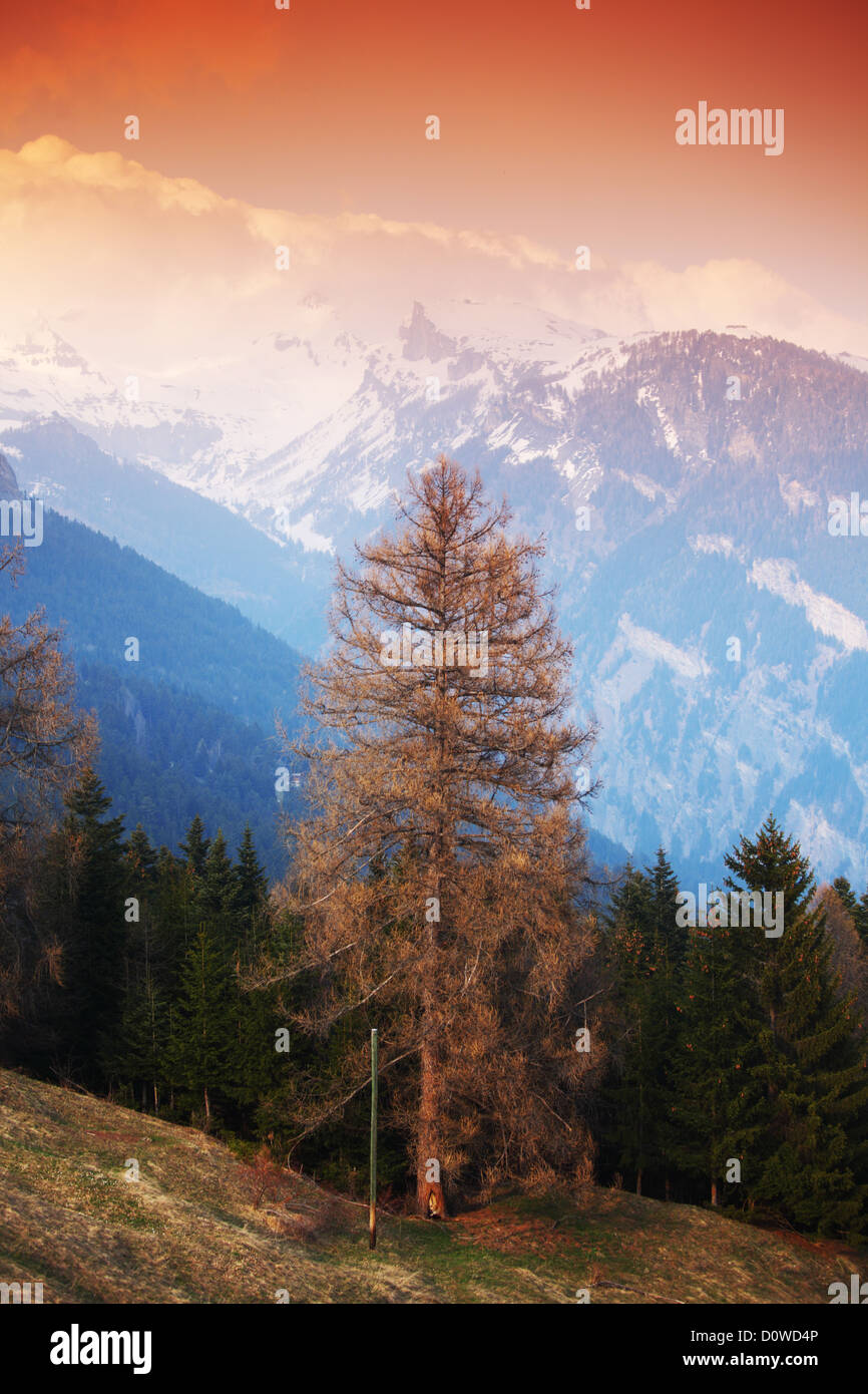 spring alps mountains scene background Stock Photo - Alamy
