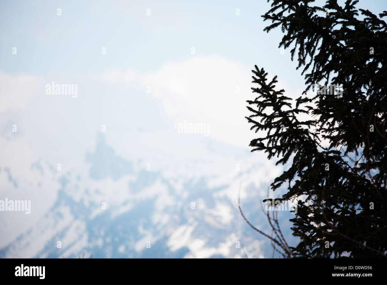 spring alps mountains scene background Stock Photo - Alamy