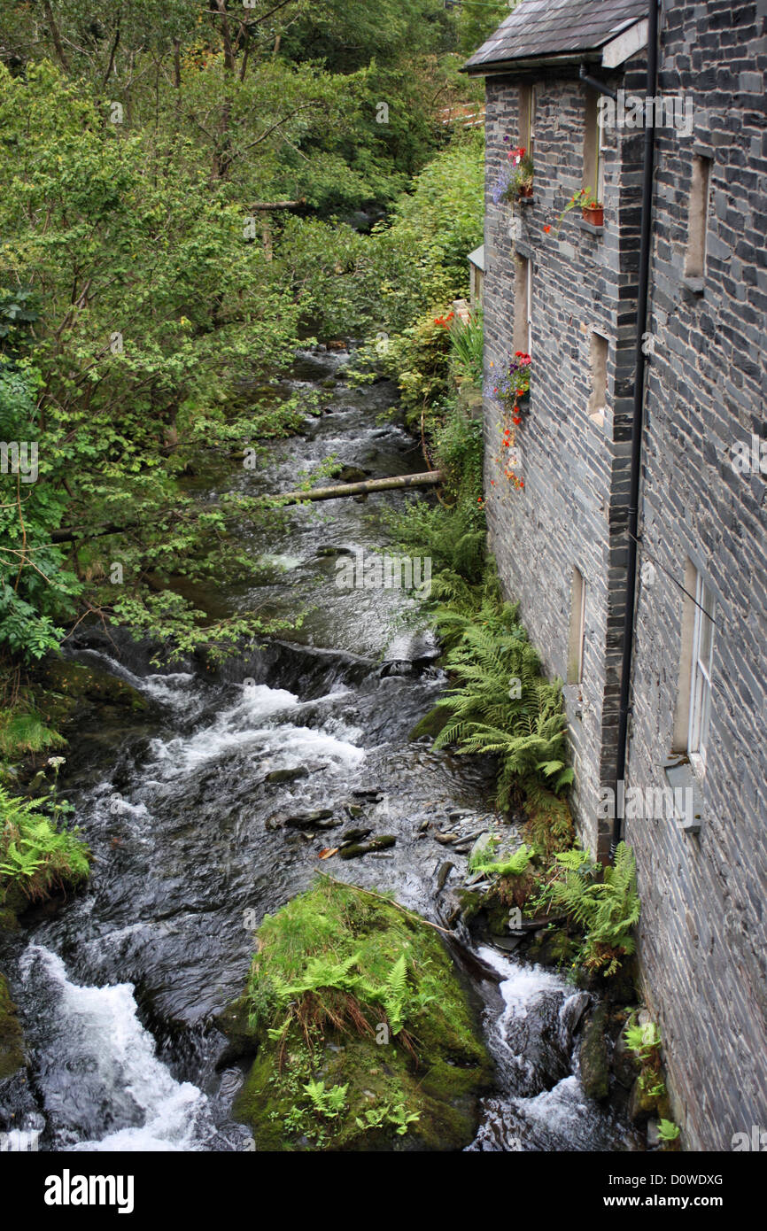 River Dulas passing houses in Corris Wales Stock Photo - Alamy