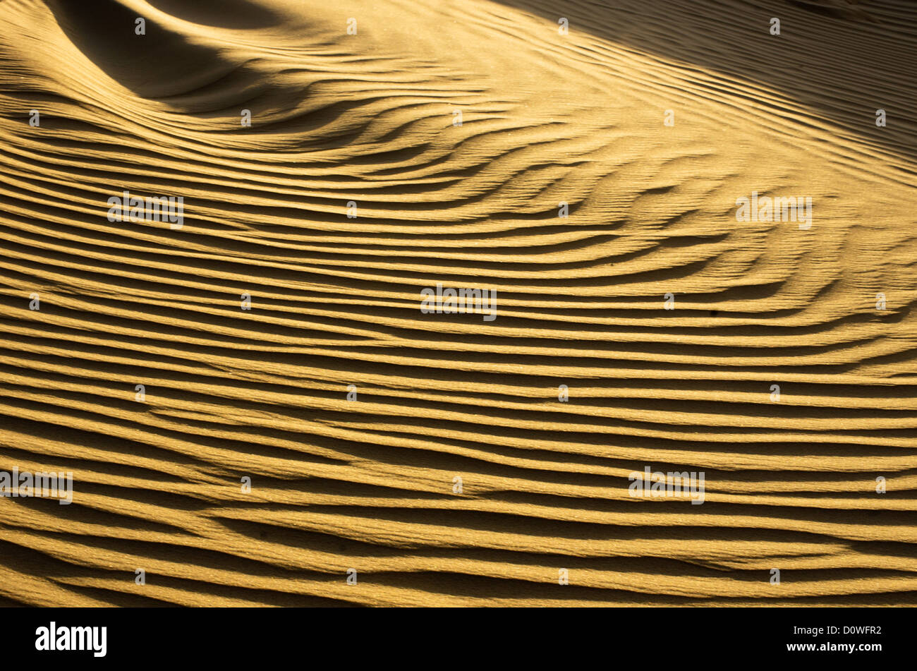 Gold desert into the sunset. Sand texture Stock Photo - Alamy