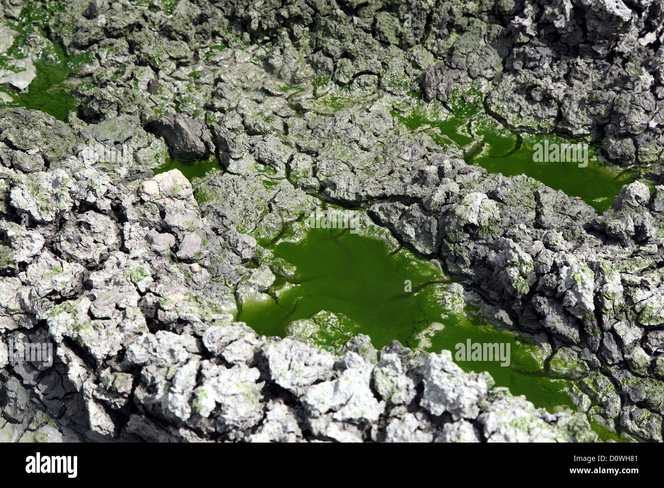 Friedland germany hi-res stock photography and images - Alamy