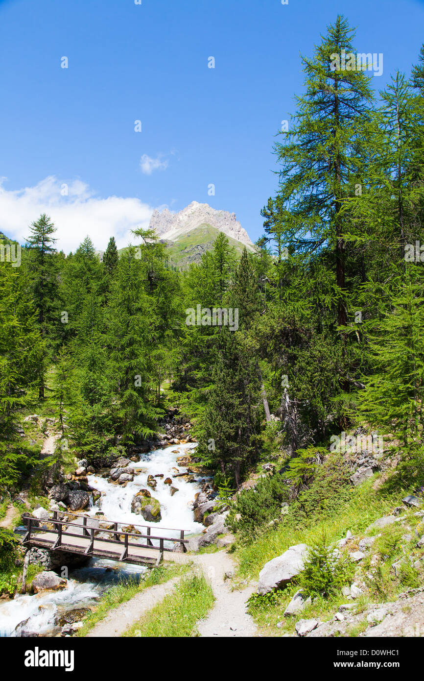 Bardonecchia area, Piemonte Region, Italian Alps. Bridge on the river ...