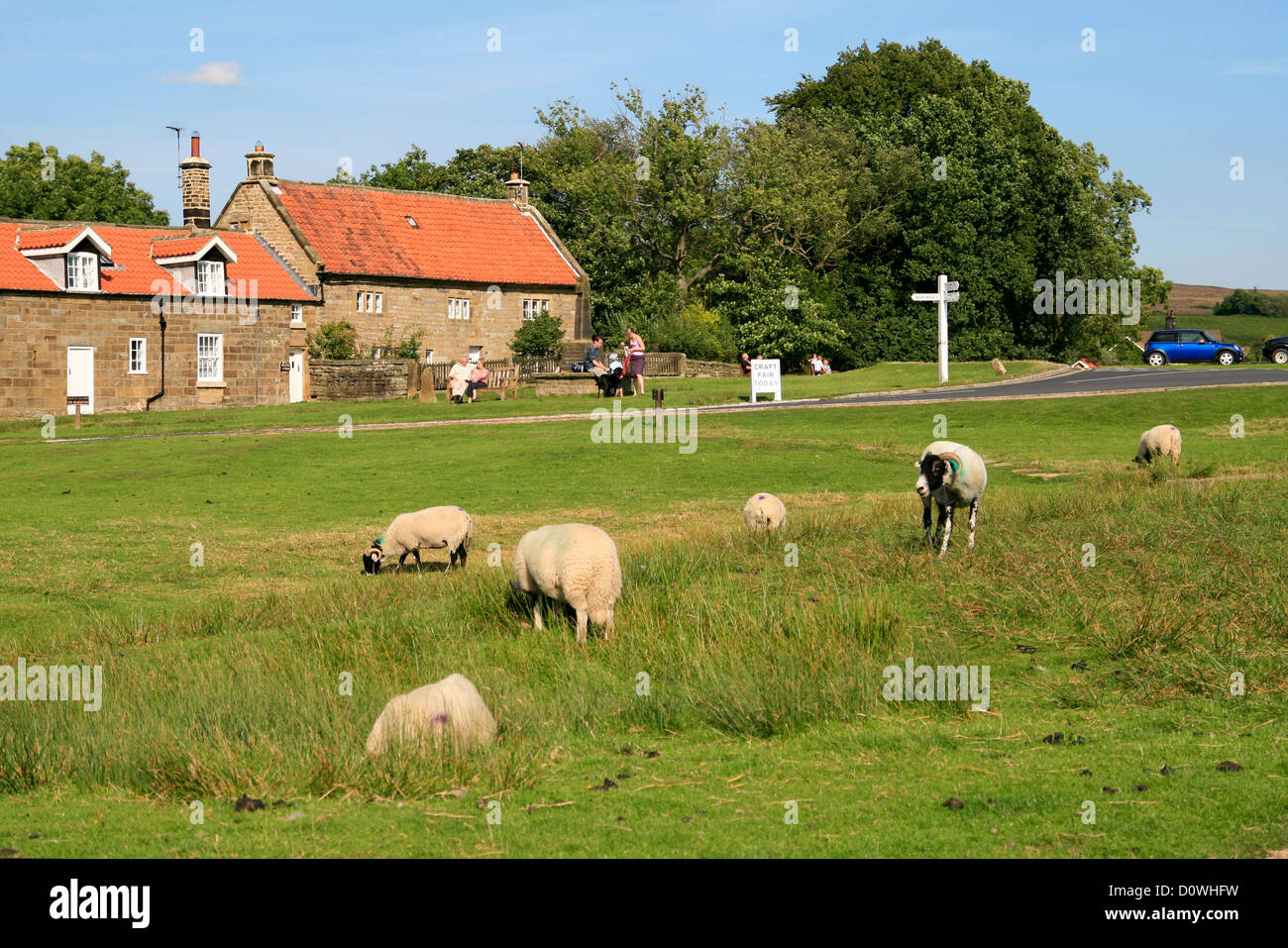 village green sheep and cottages Goathland North Yorkshire England UK ...