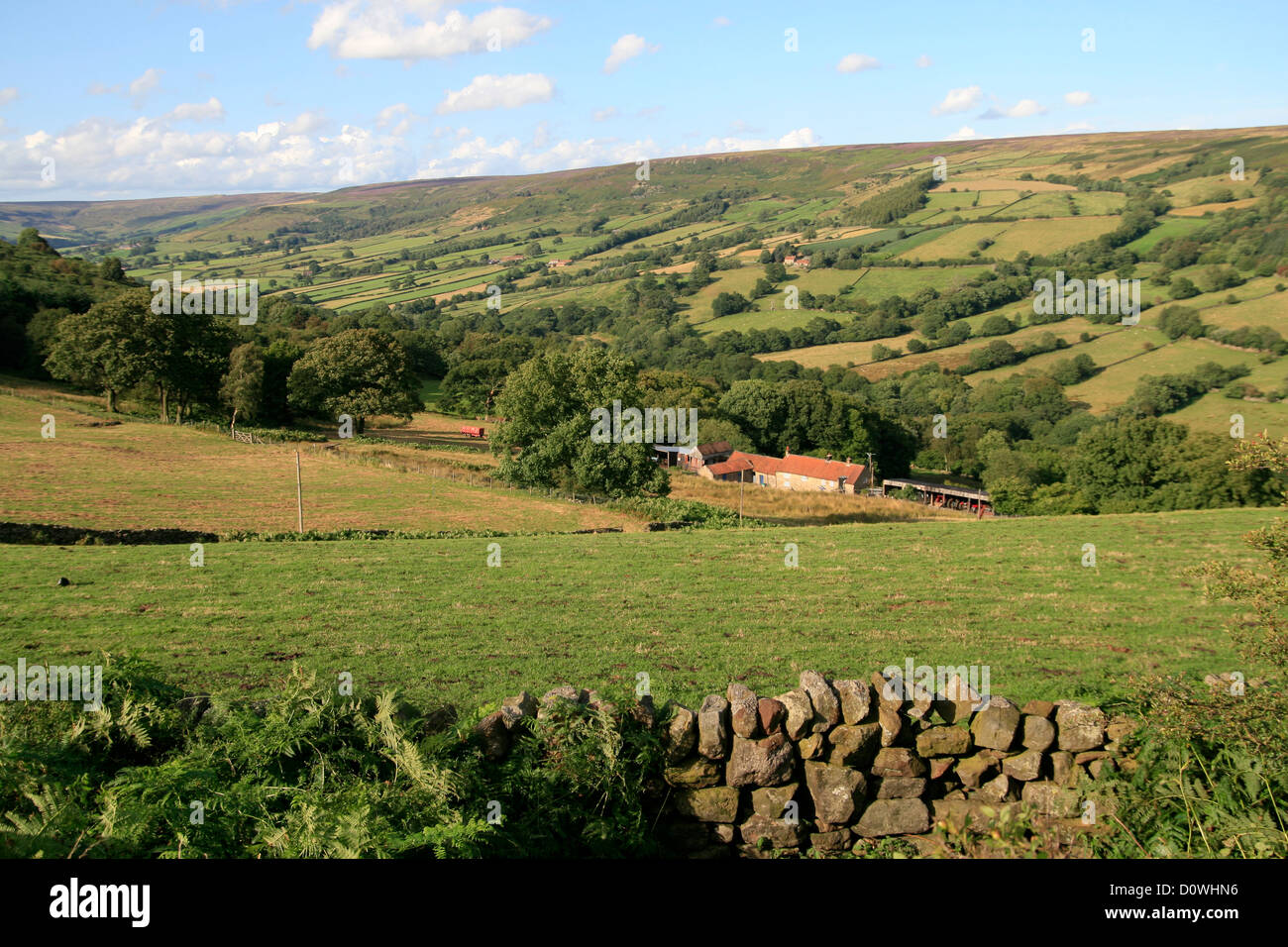 Dry stone wall and farm Farndale North Yorkshire England UK Stock Photo ...