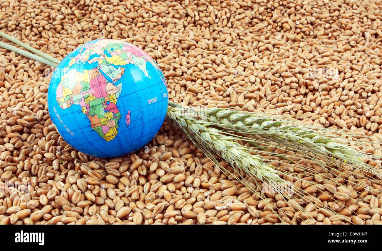 Global cereal production hi-res stock photography and images - Alamy