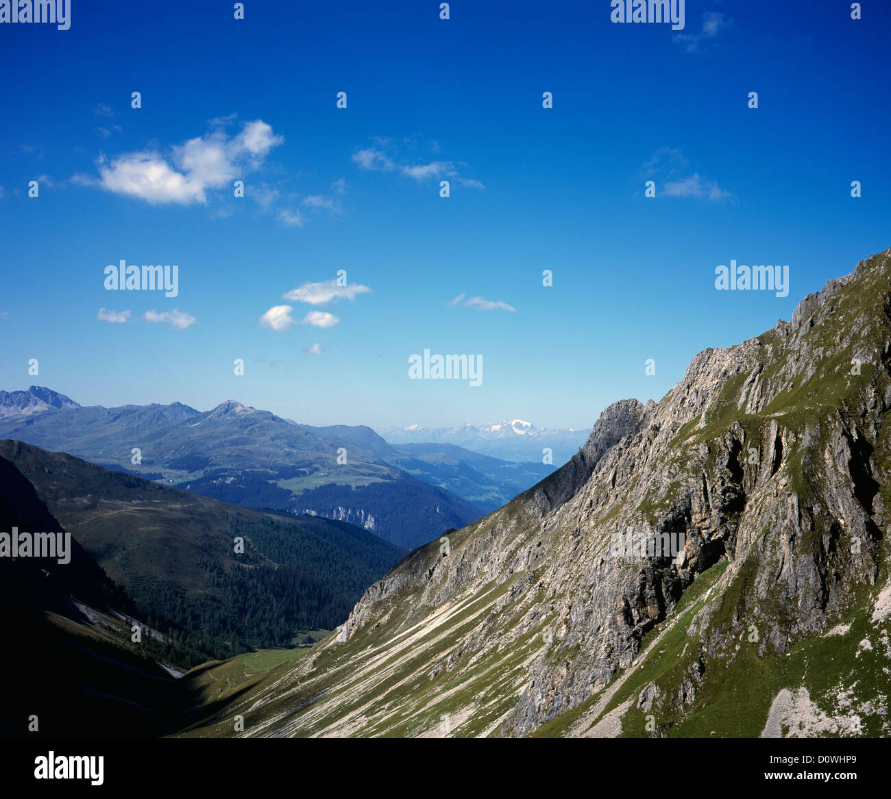 Haupter High Resolution Stock Photography and Images - Alamy