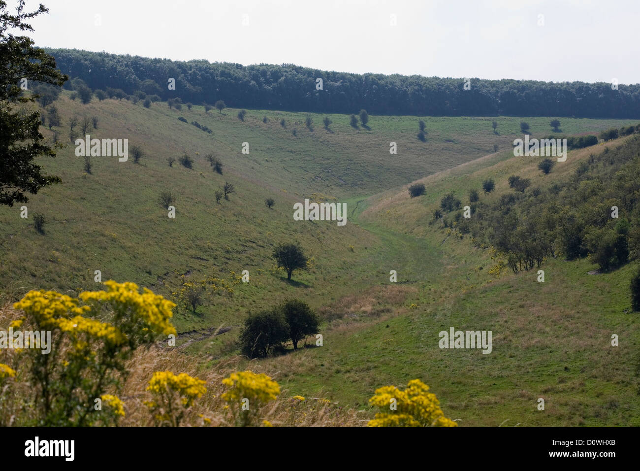 Deep Dale Thixendale Yorkshire Wolds England Stock Photo - Alamy