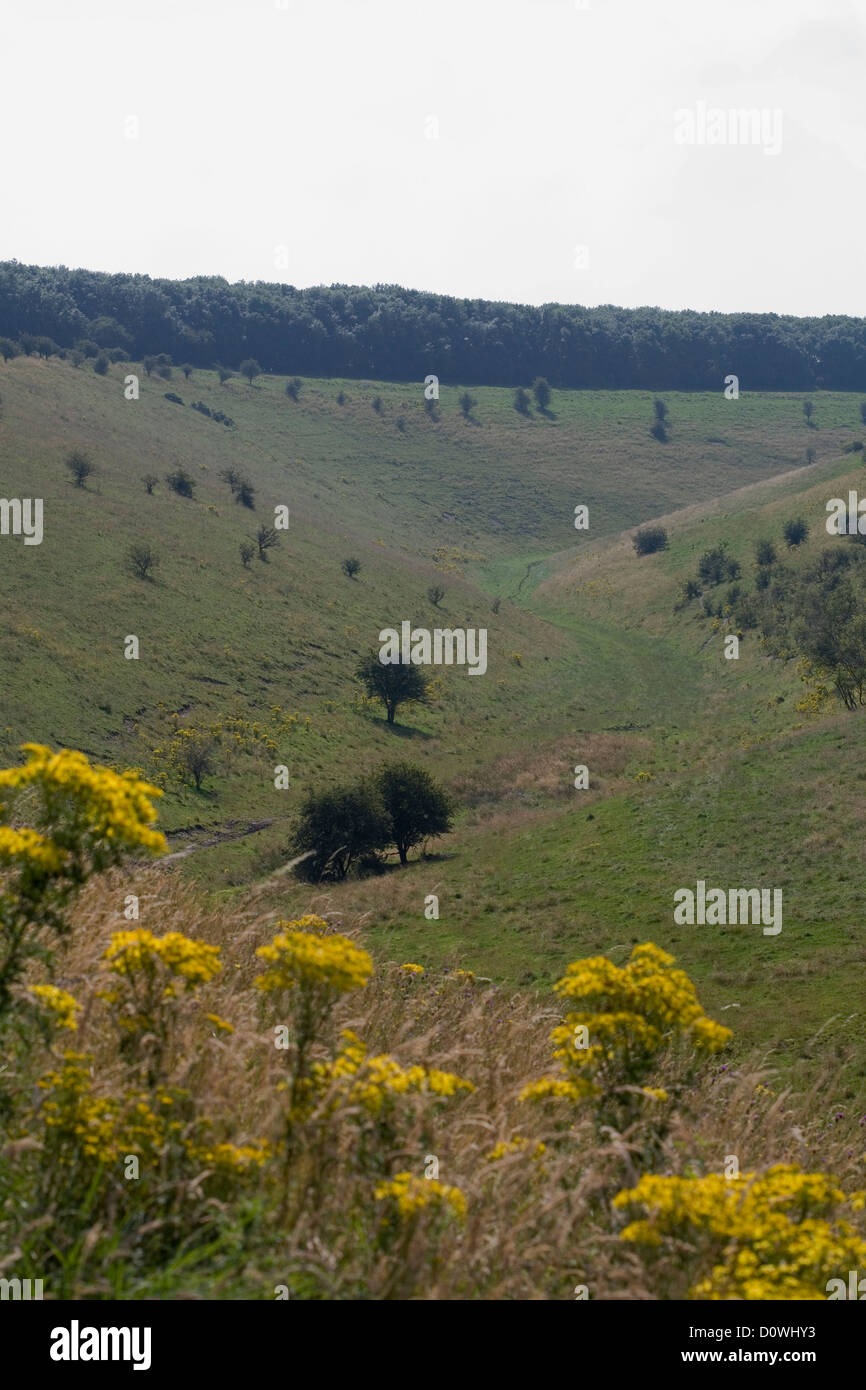 Deep Dale Thixendale Yorkshire Wolds England Stock Photo - Alamy