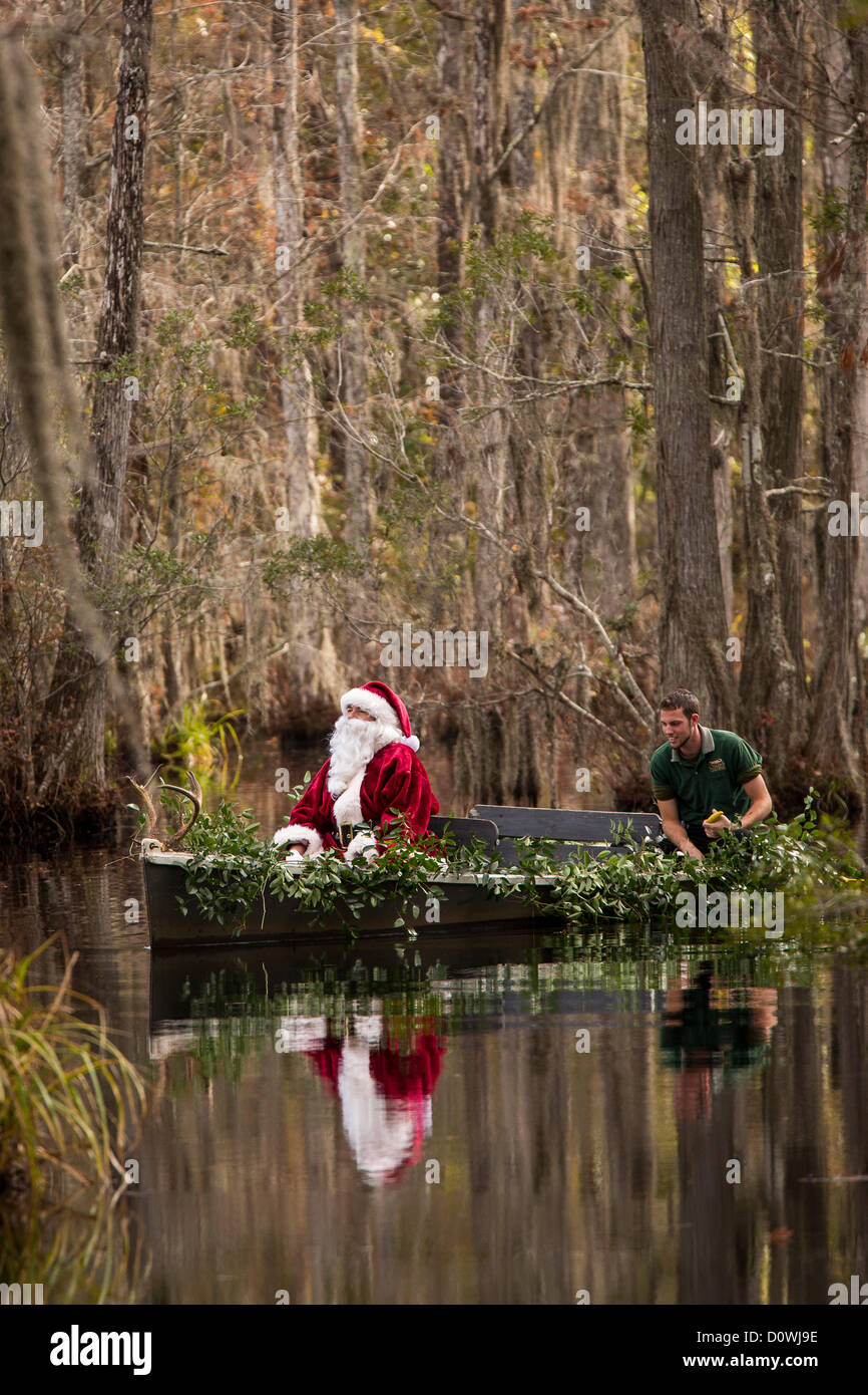 Cypress gardens at moncks hi-res stock photography and images - Alamy