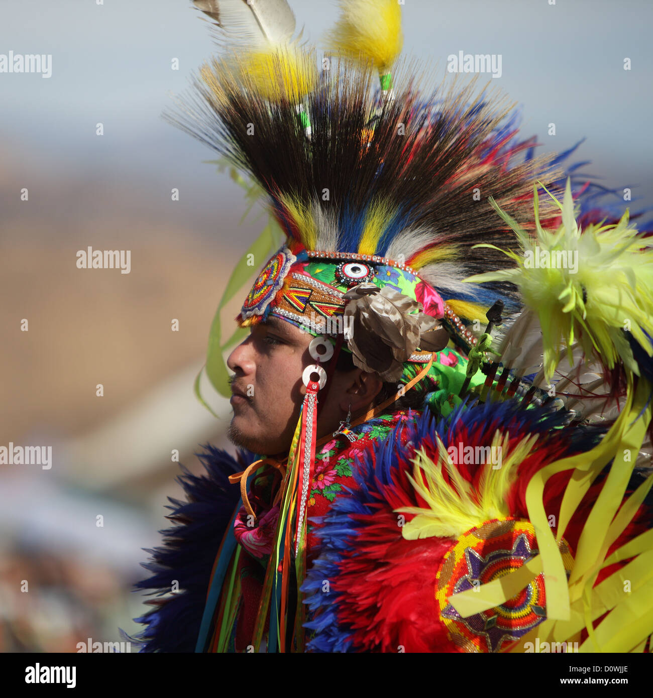 Indian woman in traditional fancy hi-res stock photography and images ...