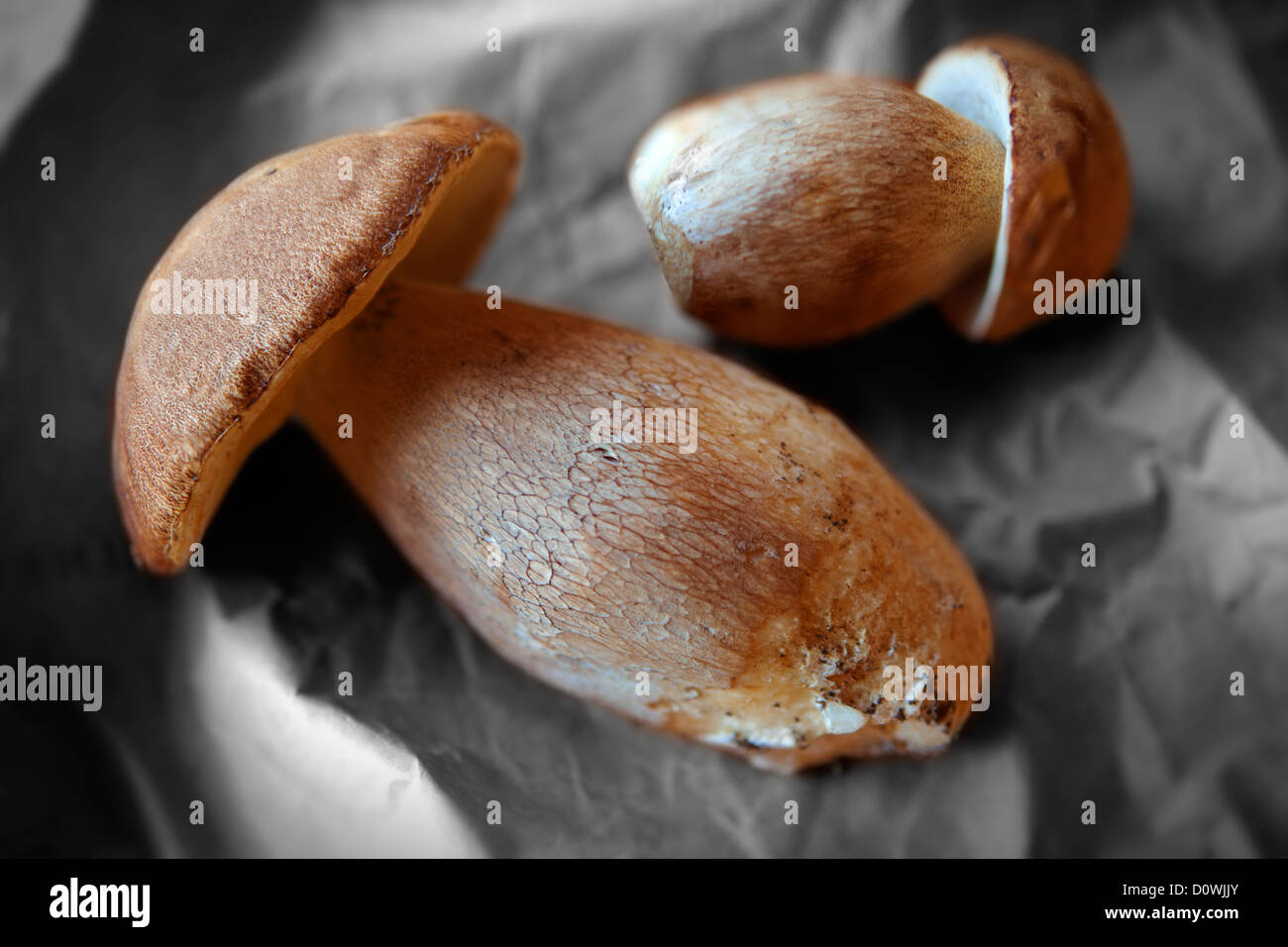 Cepes hi-res stock photography and images - Alamy