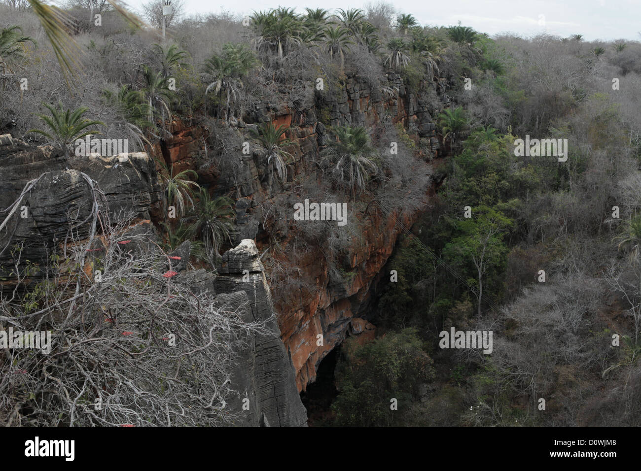 A view from above of the entrance to Lapa Doce Caves, Chapada ...
