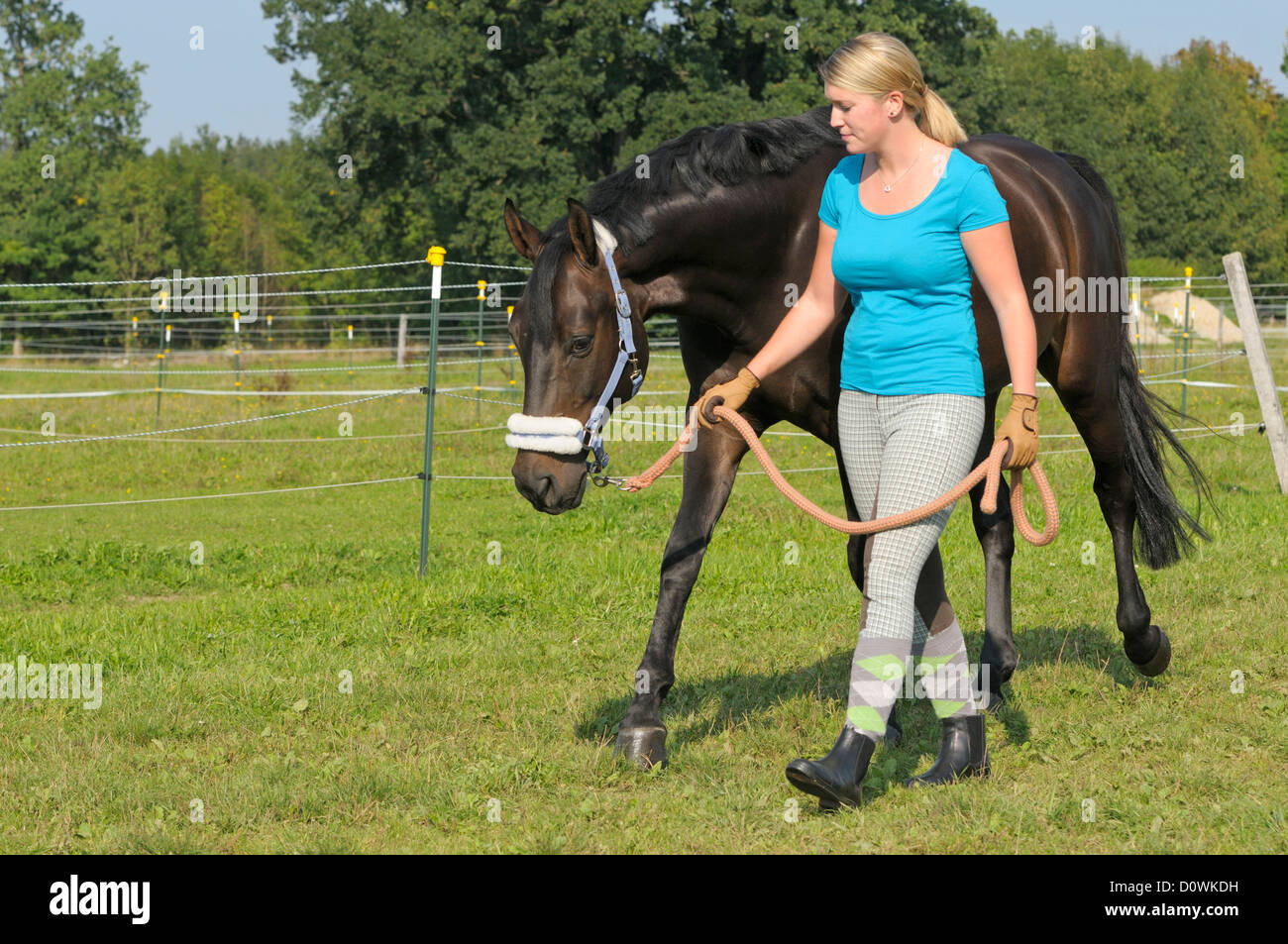 Rider leading horse hi-res stock photography and images - Alamy