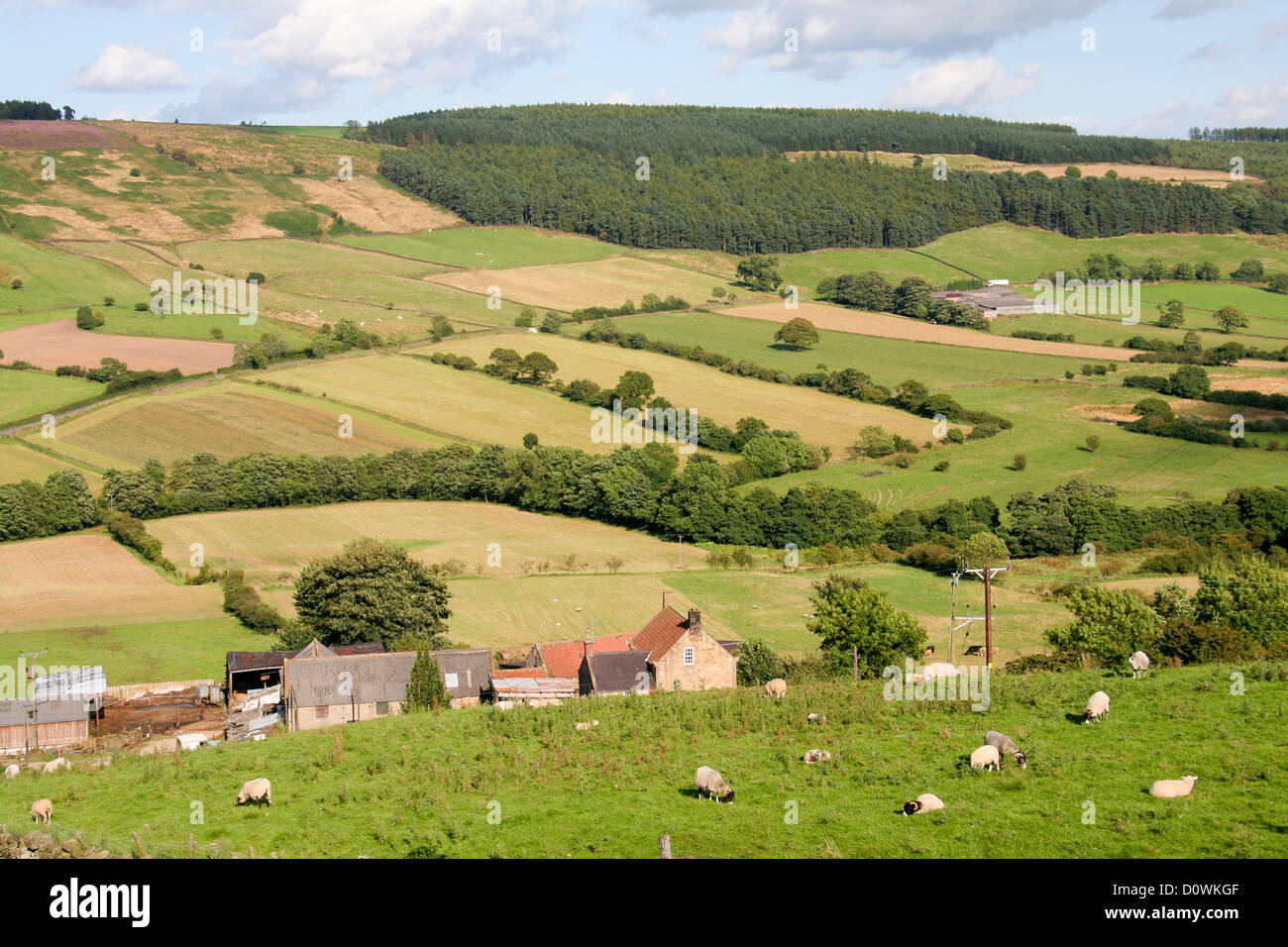 Rosedale North Yorkshire England UK Stock Photo - Alamy
