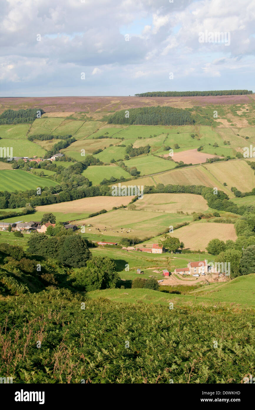 Rosedale North Yorkshire England UK Stock Photo - Alamy