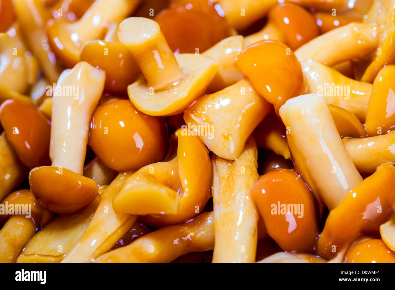 mushrooms close up Stock Photo - Alamy