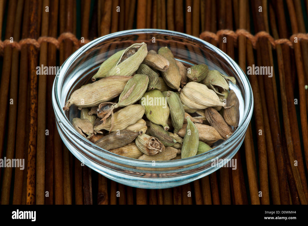 Cardamon plant hi-res stock photography and images - Alamy