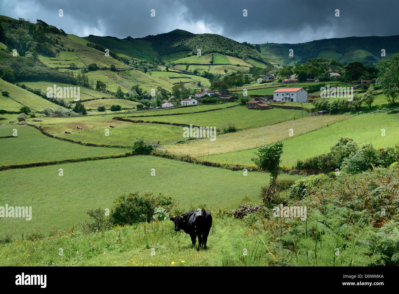 Flores island landscape Stock Photo - Alamy